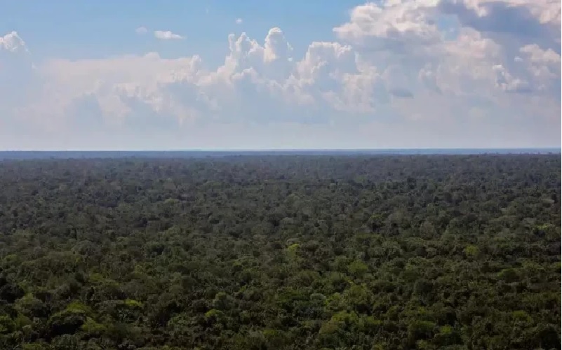 Organizações sociais propõem plano para investimentos na Amazônia ...